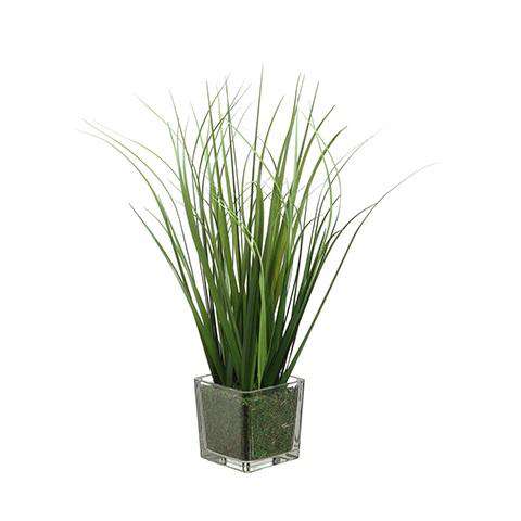 Ledge Tabletop Desktop Plants Grass Plants | Silk Plants Direct