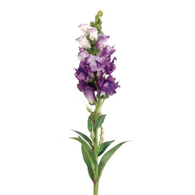Artificial Snapdragon Flower | Silk Snapdragon | Snapdragon Flower ...