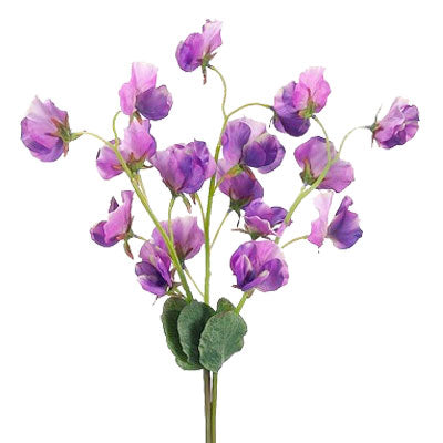 Rise and shine with these artificial Sweet Pea flowers! – Silk Plants ...