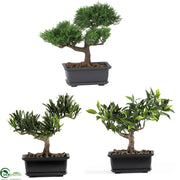 Artificial Bonsai Trees | Silk Bonsai Trees | Silk Plants Direct