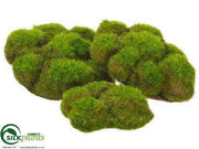 Artificial Moss Sheets | Silk Moss Mats | Faux Moss Tiles | Fake Moss Rolls