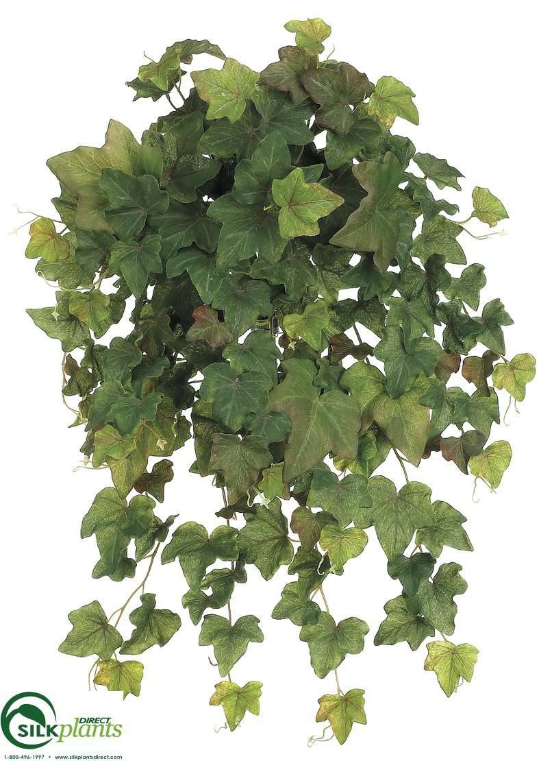 Artificial English Ivy Hanging Plants | Silk Hanging Plants | Faux ...