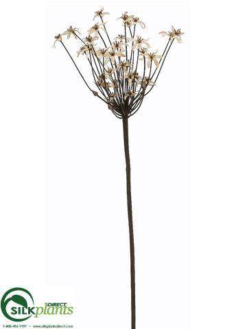 Allium Spray - Cream - Pack of 6 - (CRC-180SFXS) | silkplantsdirect.com ...